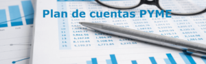 Plan contable PYME - Ejemplos y ejercicios actualizados 2022
